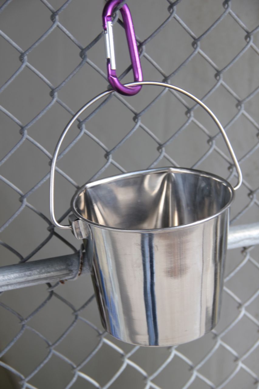 Open Paw - A new program at Animal Services | Sarasota Dog