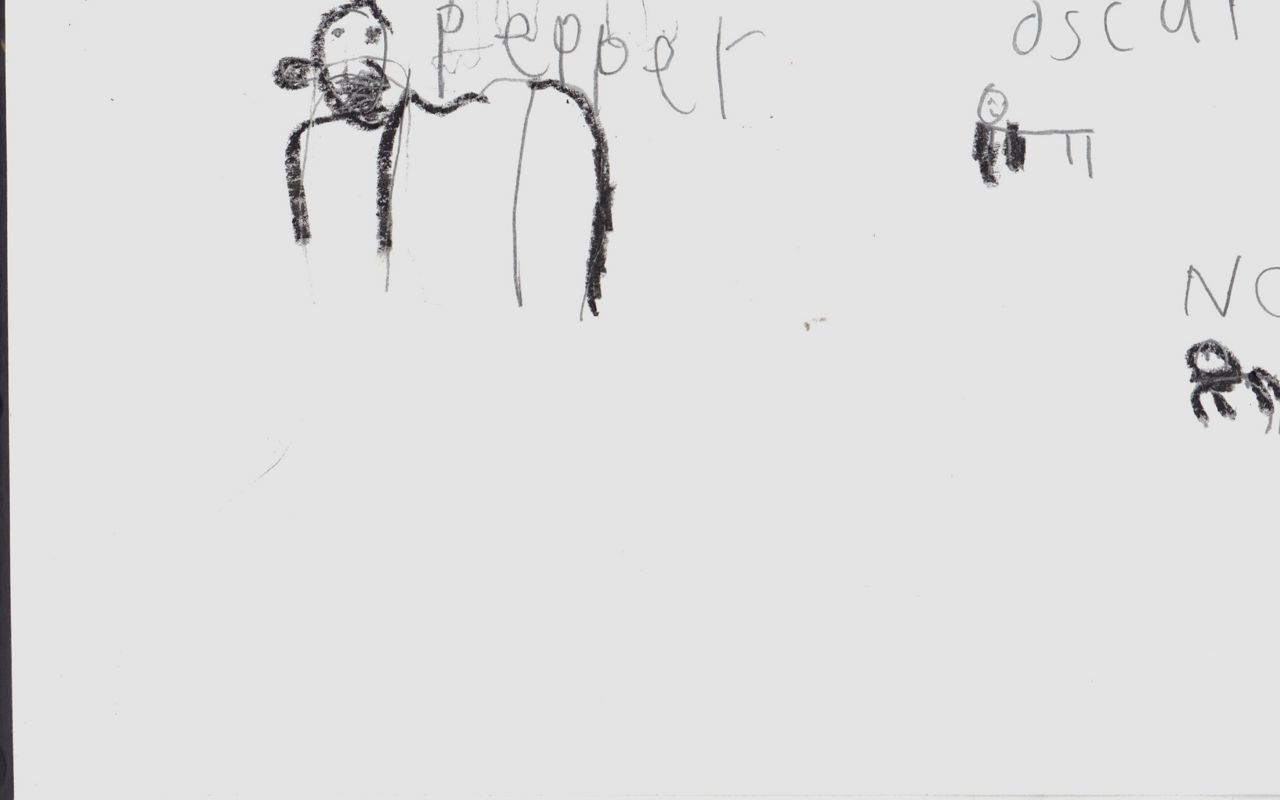 A Tribute to Dogs: First Grade Writing Project | Sarasota Dog