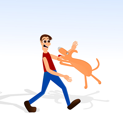 Ask The Trainer - My dog jumps on guests as they enter my home - what ...