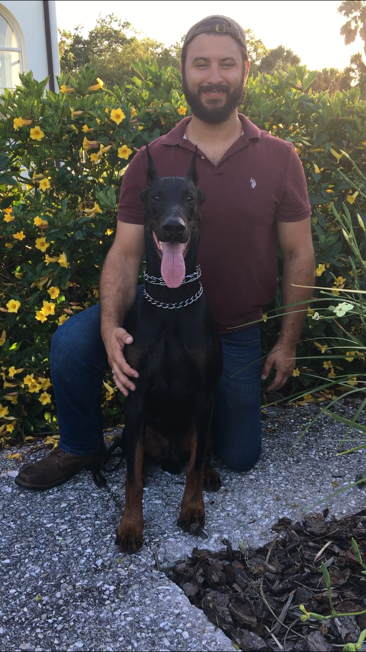 The Structured Walk - a cornerstone of dog training basics