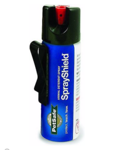 The Safe Walk | Sarasota Dog